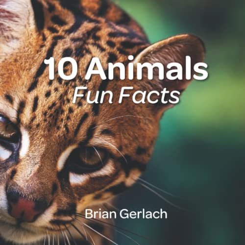 10 Animals Fun Facts · NiceBooks